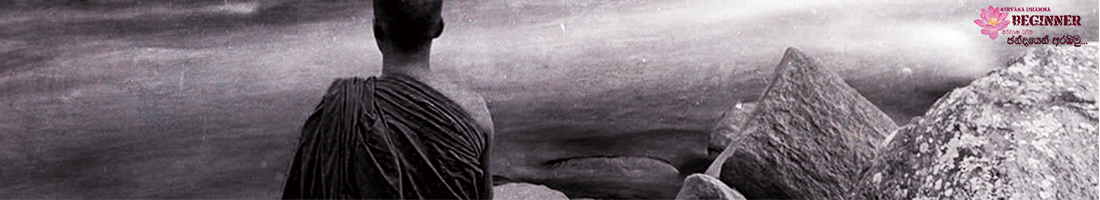 Deep in to the Fourth Sight - An Ascetic - NIRVANADHAMMA