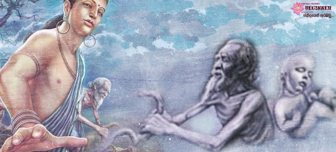 Misunderstood First Sight! - NIRVANADHAMMA